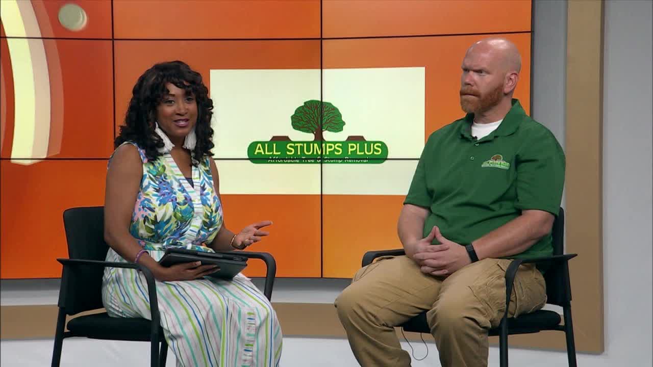 All Stumps Plus – WRIC ABC 8News