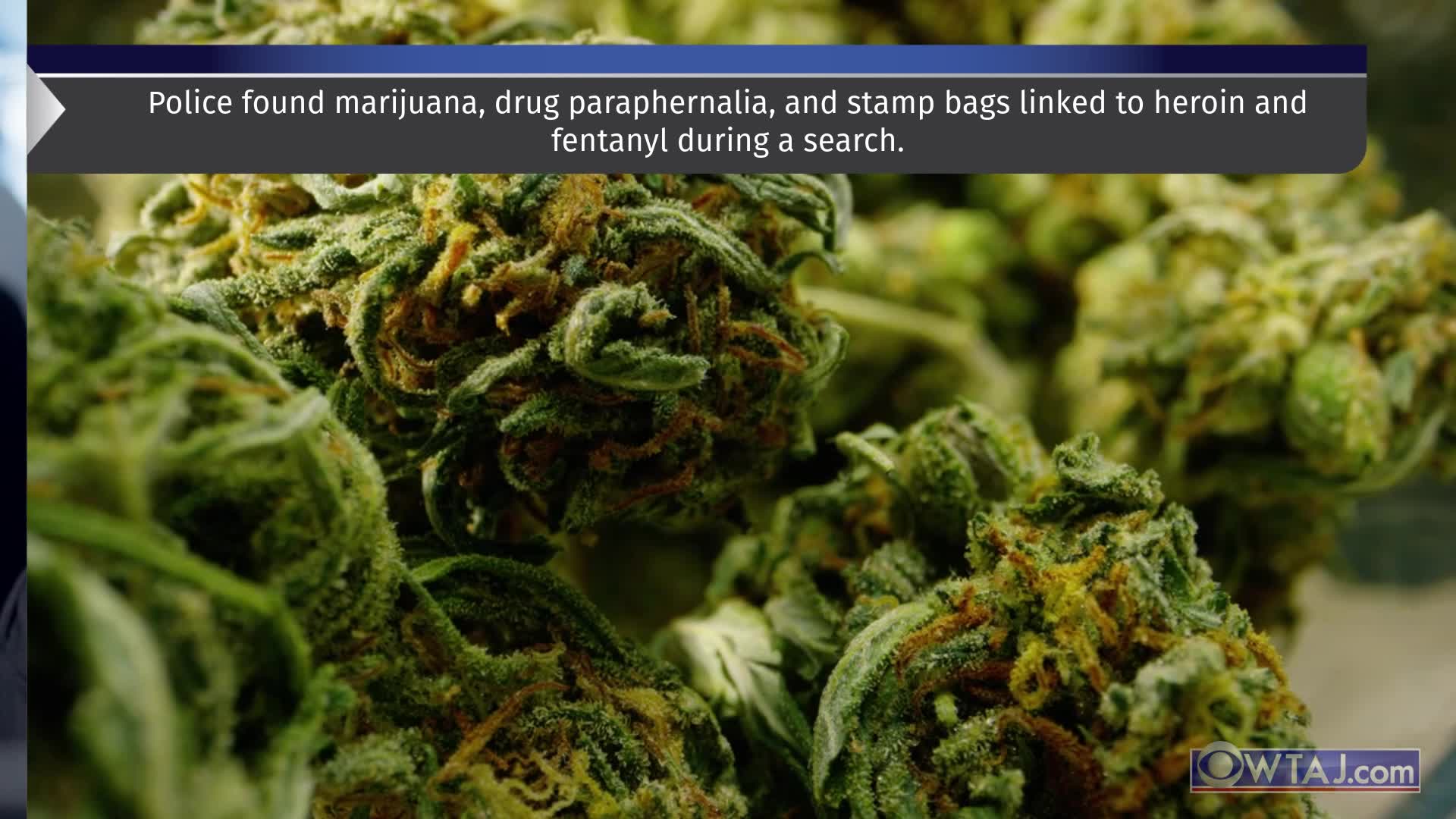 Police: Gallitzin man arrested, caught with over 80 grams of marijuana ...