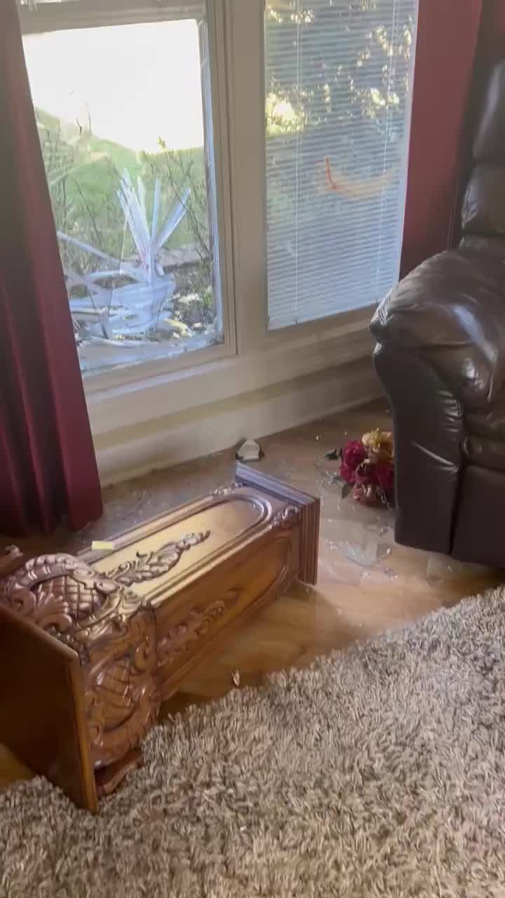 Deer in house. Courtesy: Sharon Fish – WREG.com