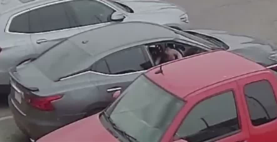 Man caught on camera stealing purse from car in Superlo parking lot ...
