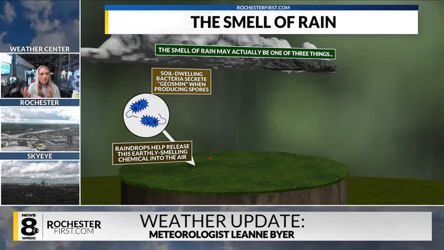 The smell of rain – RochesterFirst