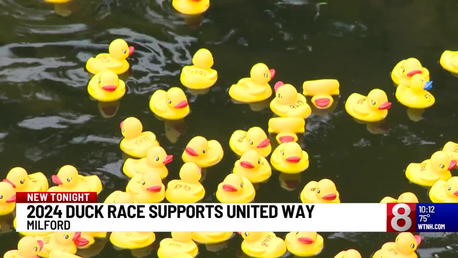 The United Way Duck Race returns to Milford – WTNH.com