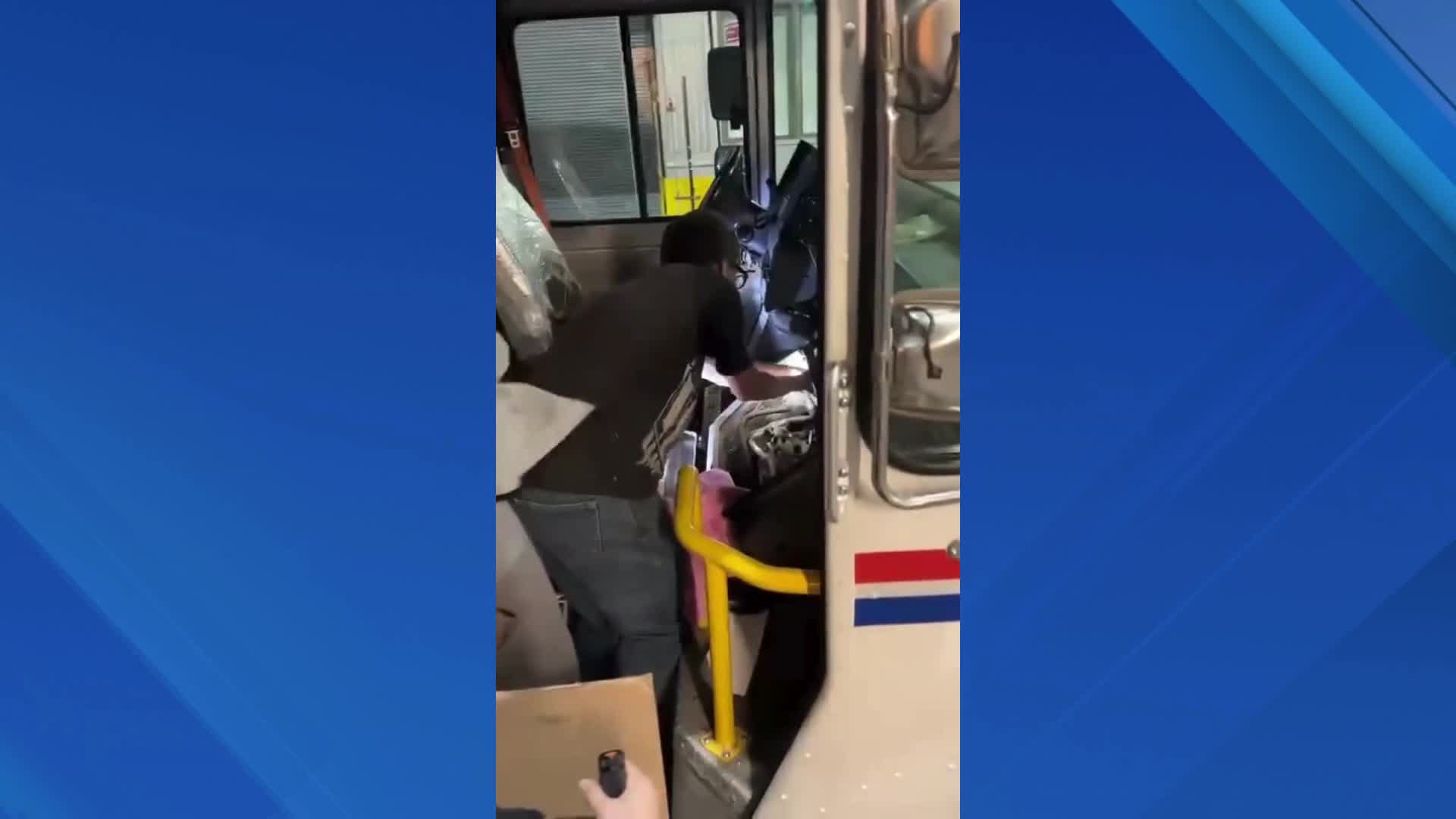 Cat rescued from USPS truck in Manhattan – PIX11