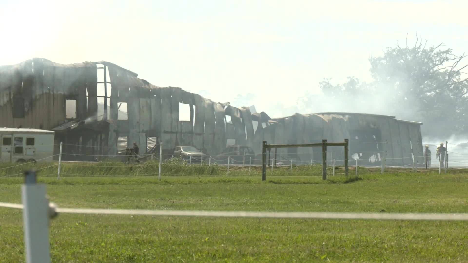 43 horses dead in Ohio barn fire – WTRF