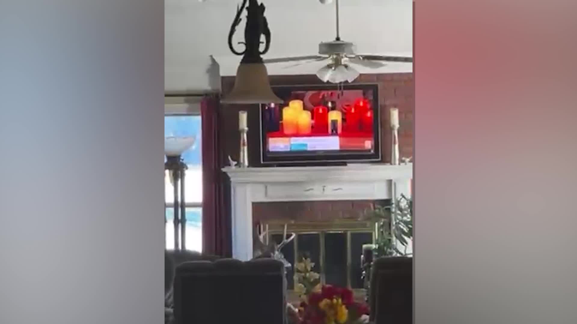 Deer in house. Courtesy: Sharon and Gary Fish – WREG.com