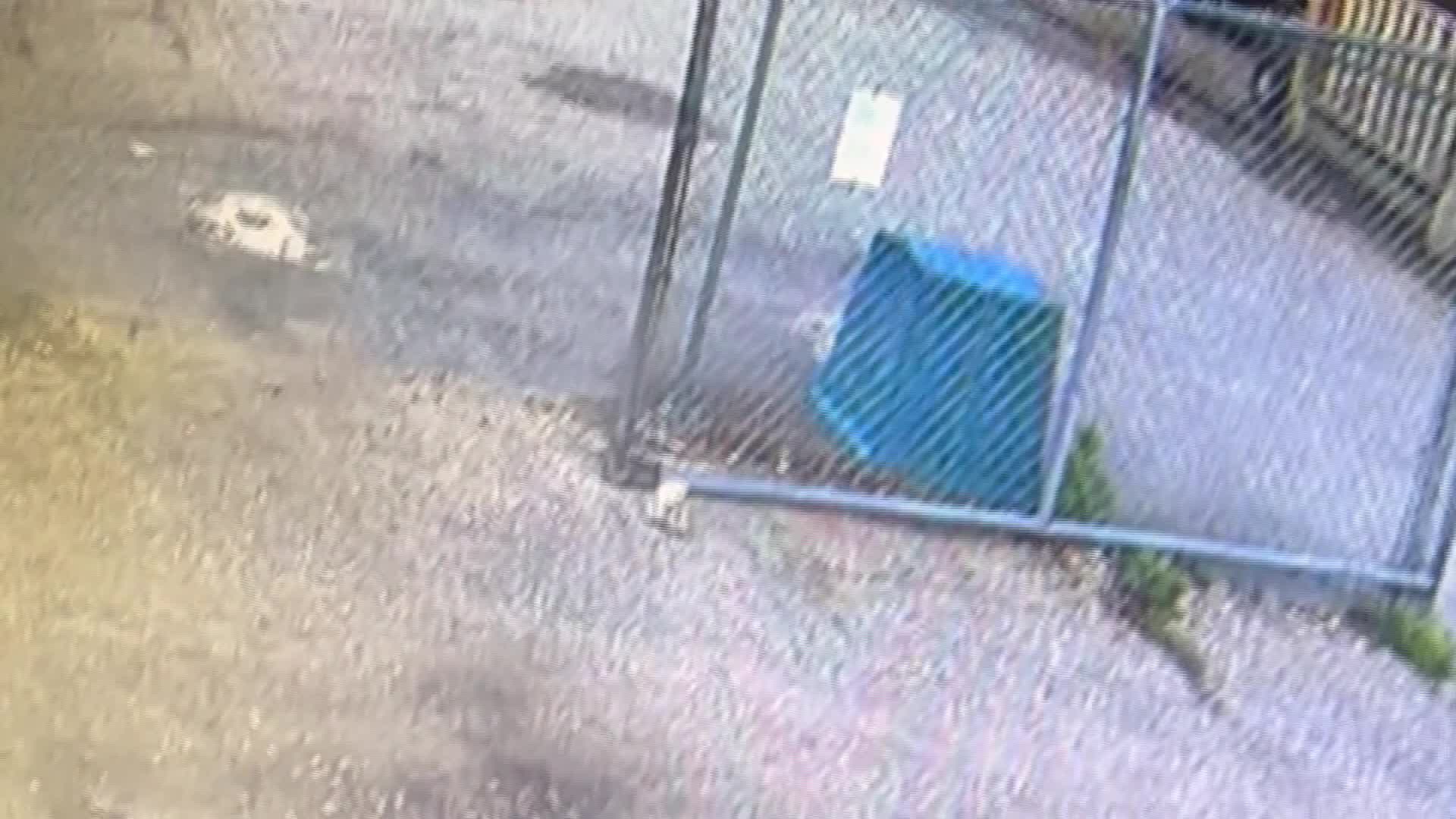 Man caught on camera trying to run someone over – WREG.com