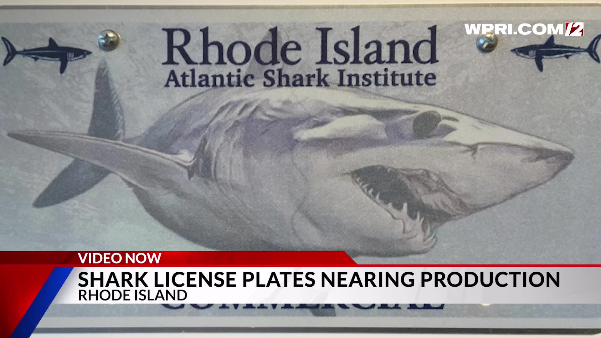 Commercial shark license plates nearing production – WPRI.com