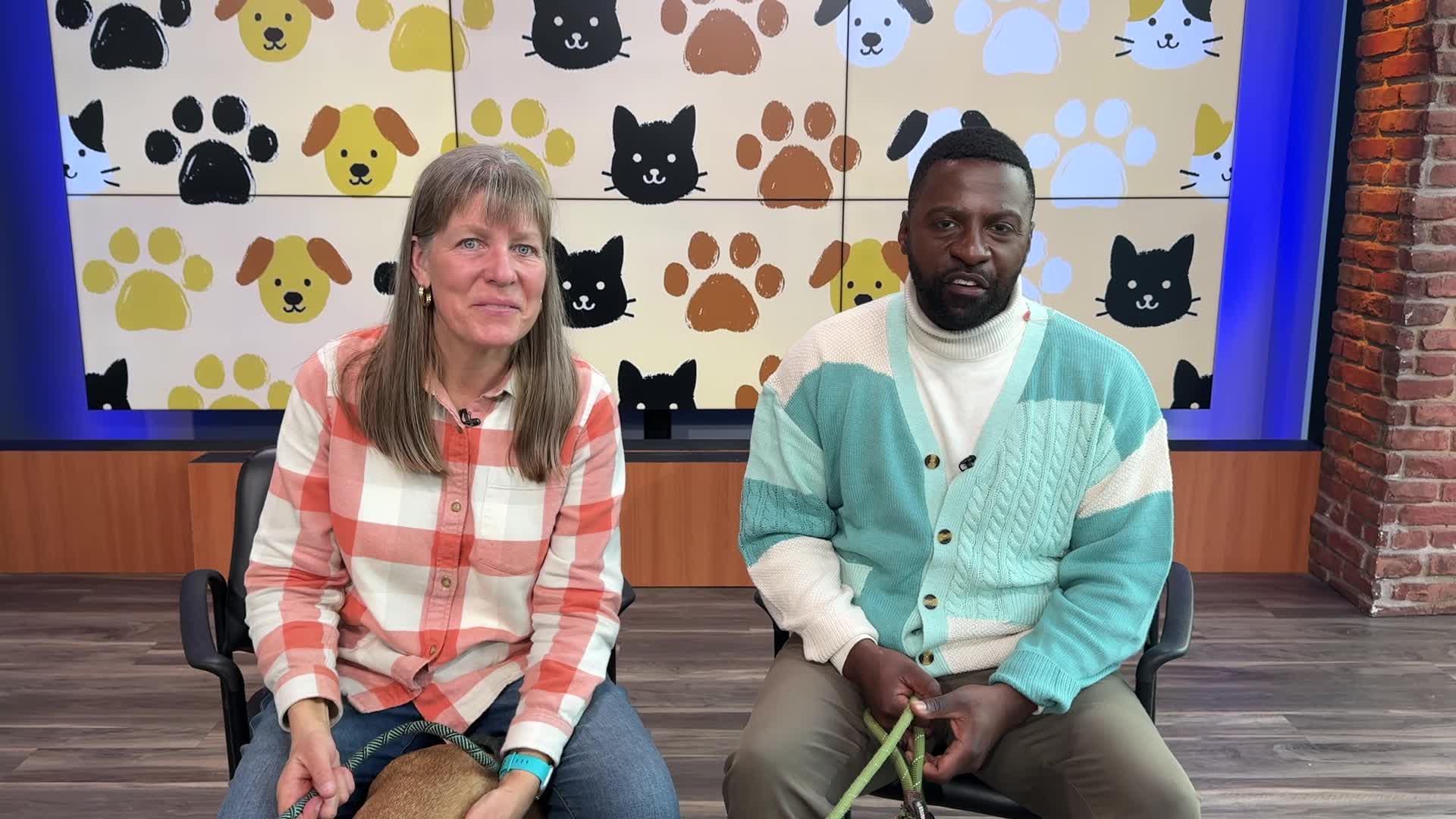 Furry Friend Friday – WSPA 7NEWS