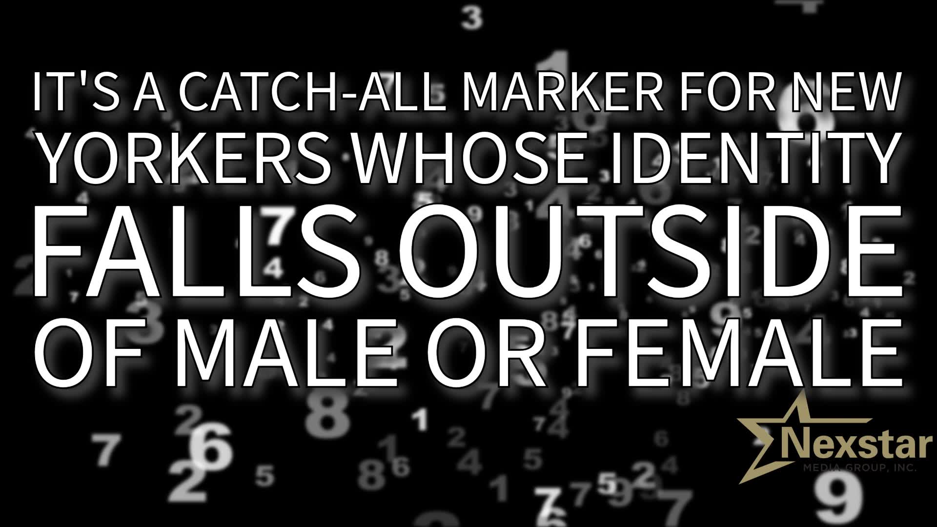 DMV issued over 5,000 ‘X’ gender markers in 2 years – NEWS10 ABC