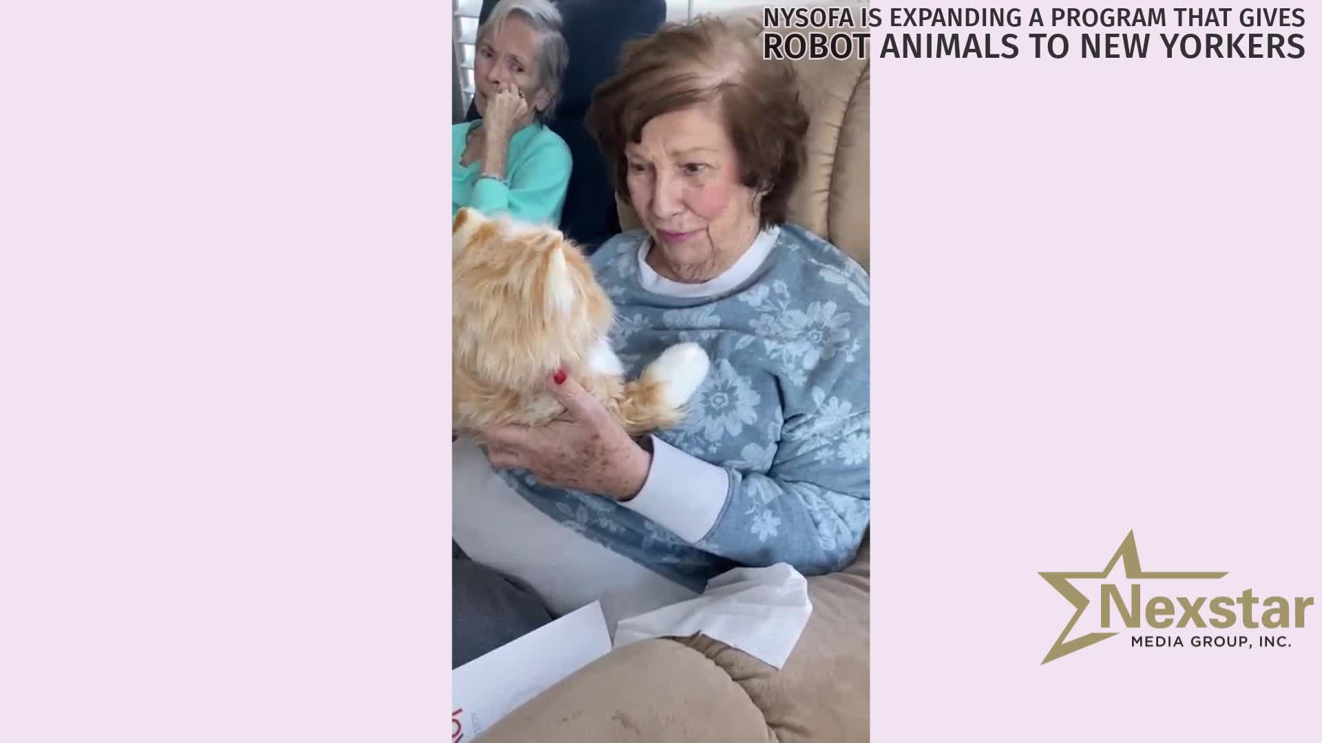 Older New Yorkers get more robot pets to combat loneliness – NEWS10 ABC