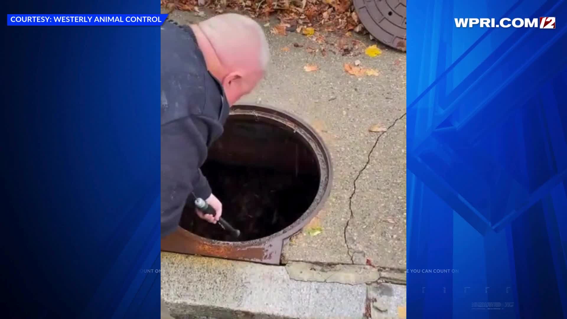 Video Now: Westerly Animal Control rescues raccoons stuck in catch ...