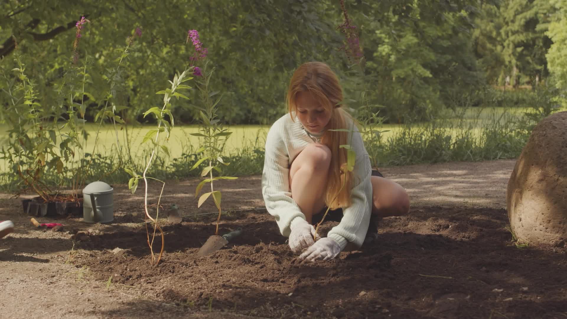 Farah & Farah laptop giveaway – WSAV-TV