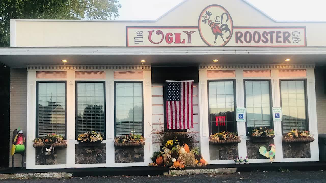 Be Our Guest: The Ugly Rooster Cafe – NEWS10 ABC