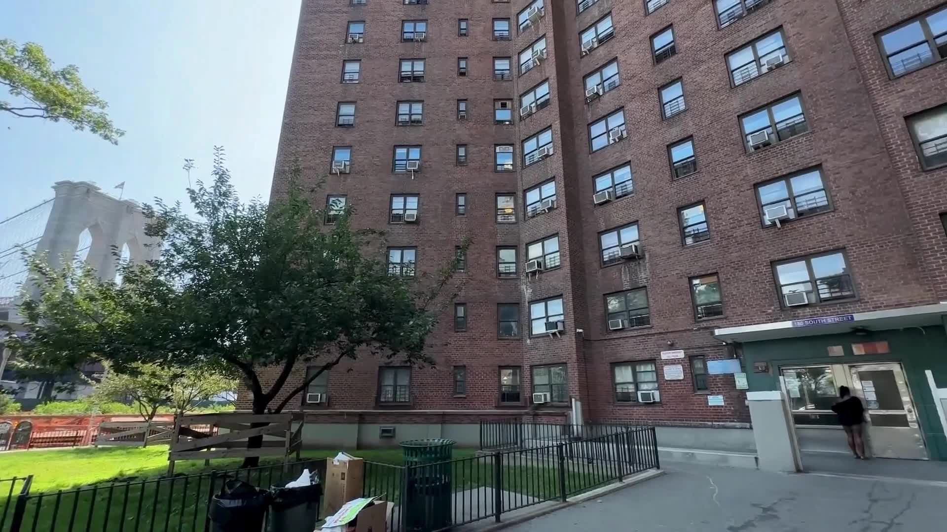 Dog allegedly thrown down trash chute in NYCHA building: NYPD – WSPA 7NEWS